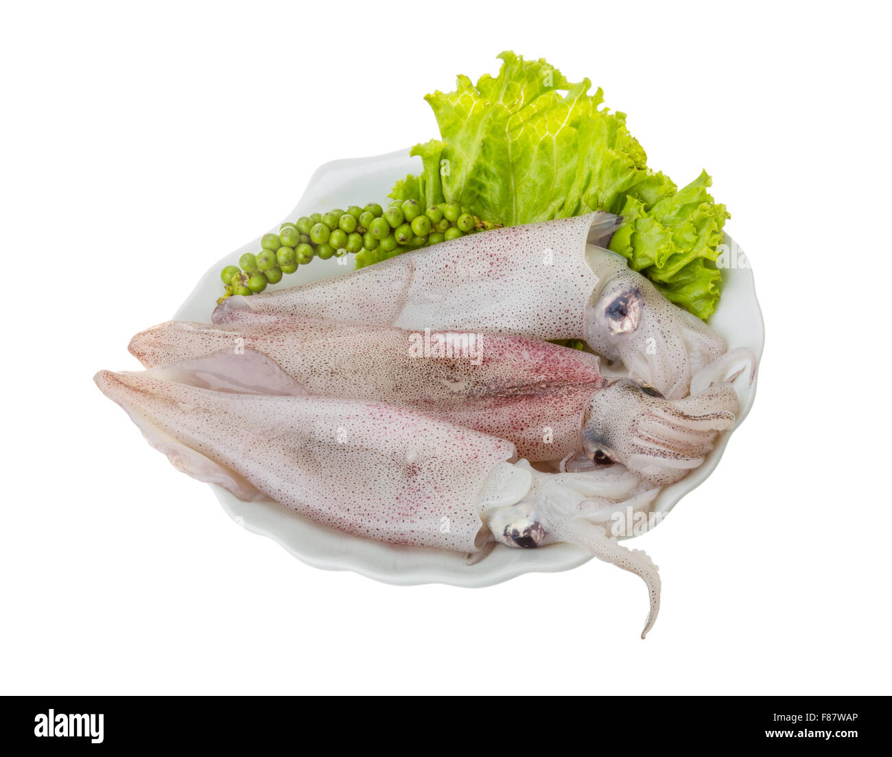 Raw calamari isolated on white background Stock Photo - Alamy