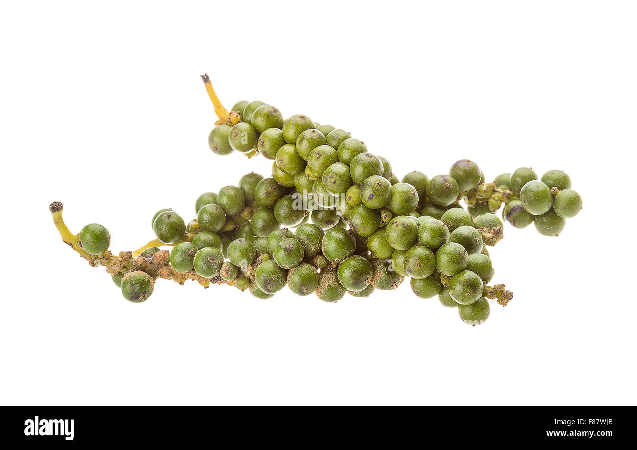 Most expensive campot pepper isolated Stock Photo - Alamy