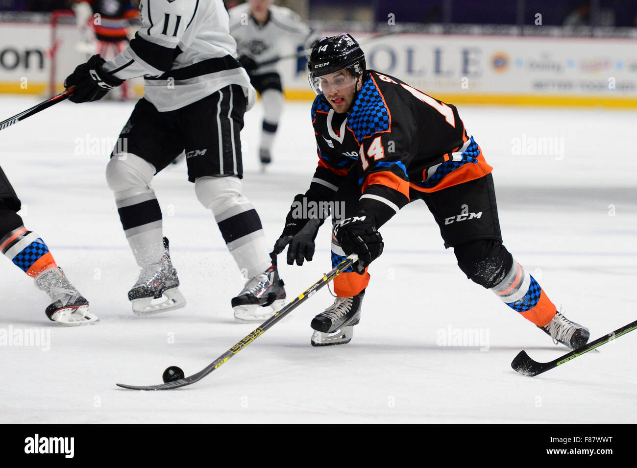 Charlotte Checkers LW Justin Shugg (14) during the AHL game between the ...