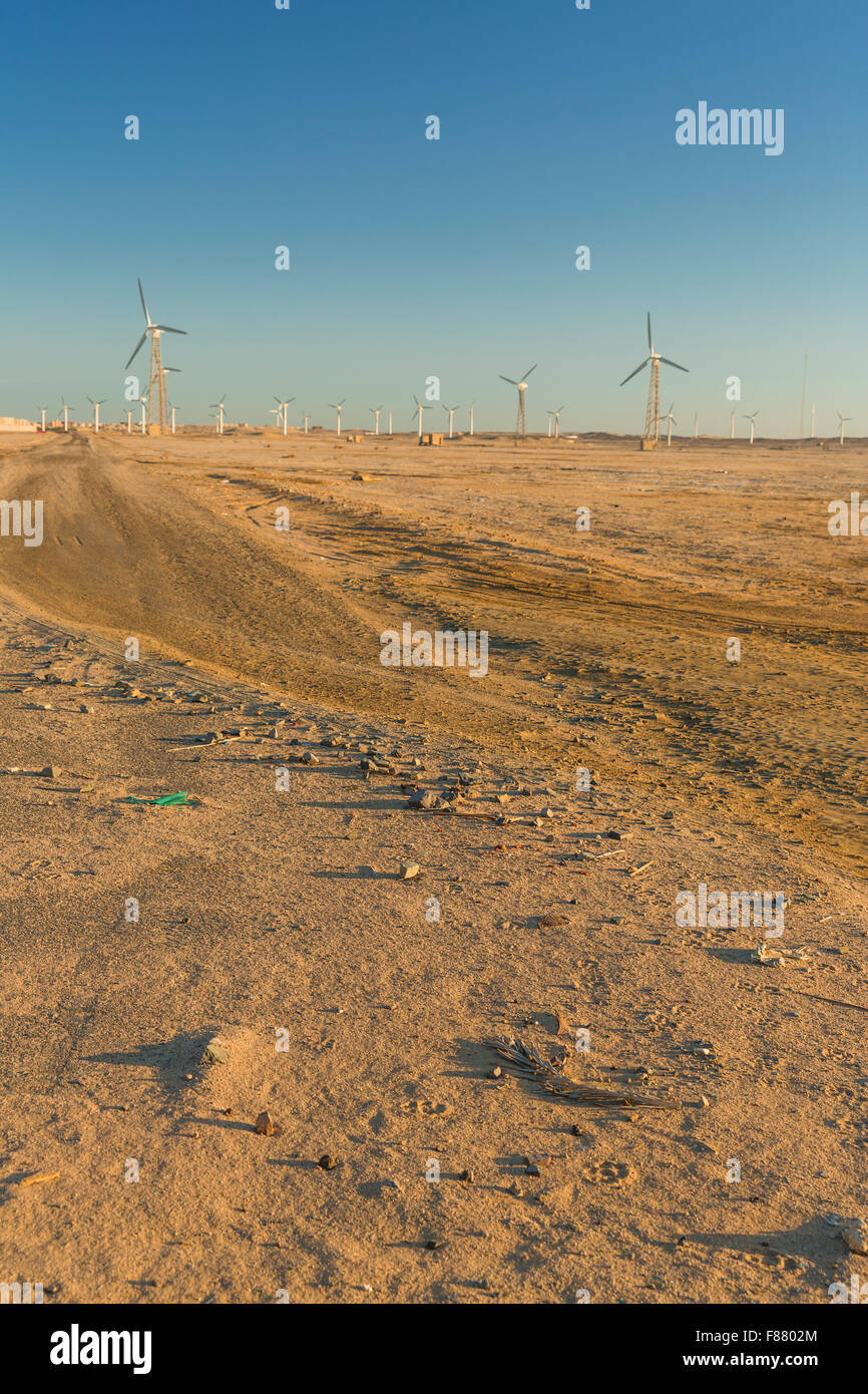 Wind farm in Egypt Stock Photo - Alamy