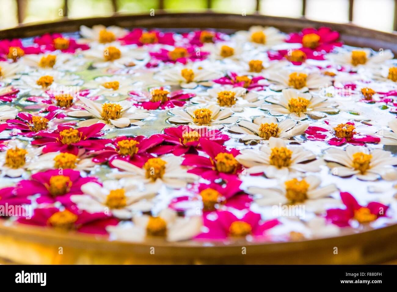 Flowers floating in water Stock Photo - Alamy