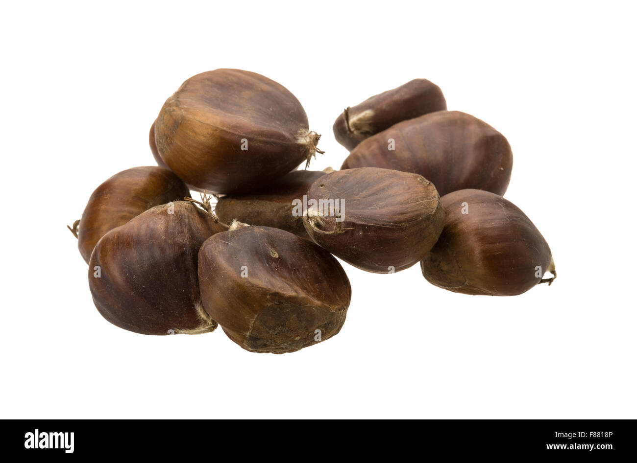 Chestnut heap isolated on white Stock Photo - Alamy