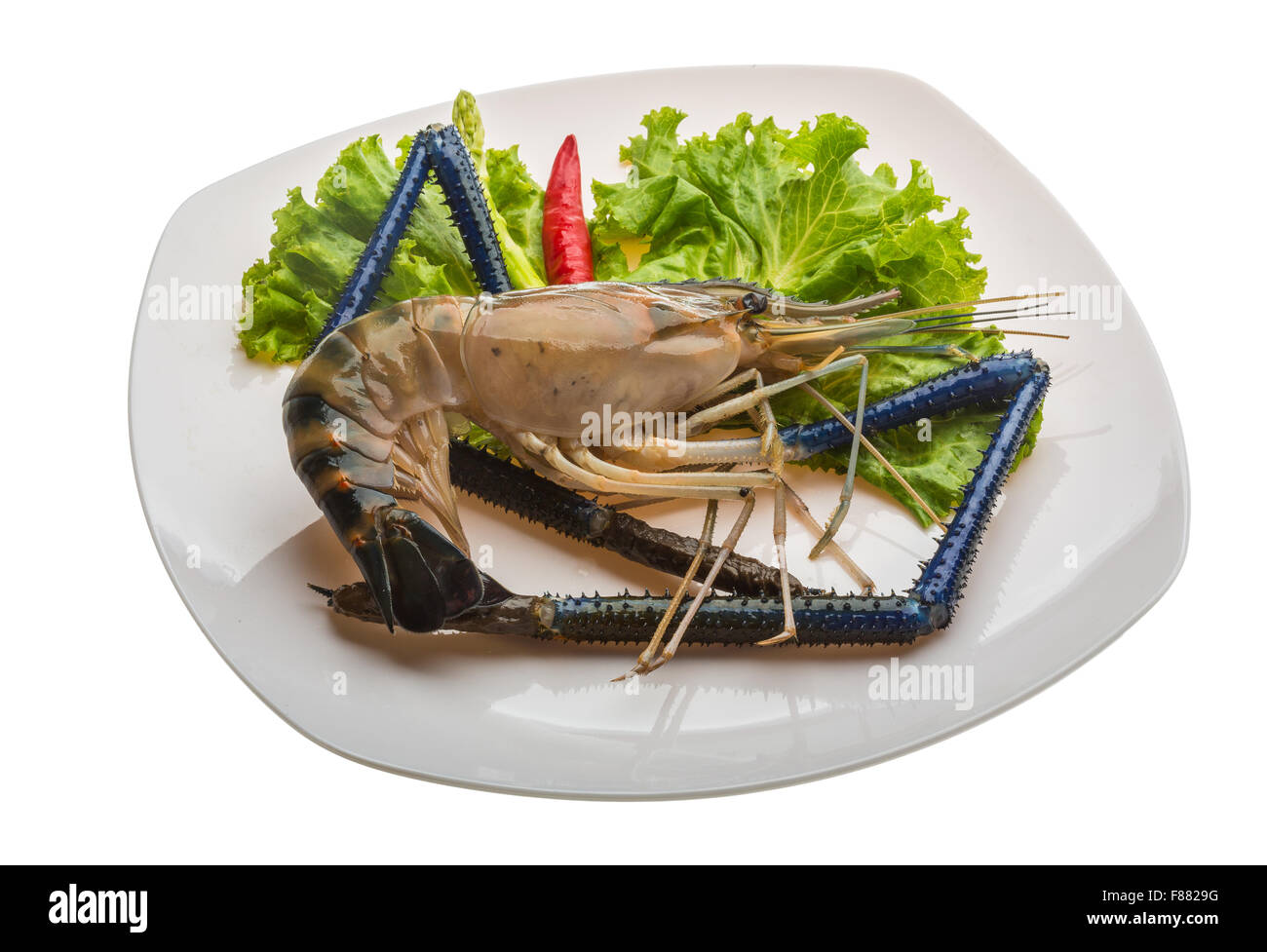 Big Freshwater prawn ready for cooking Stock Photo - Alamy