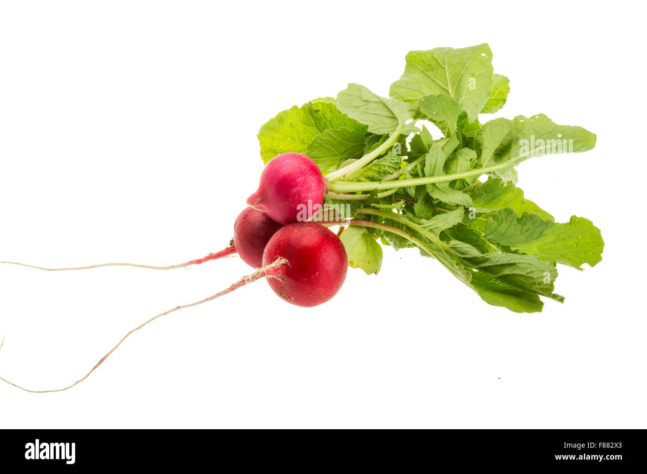 Fresh radish with leaves isolated Stock Photo - Alamy