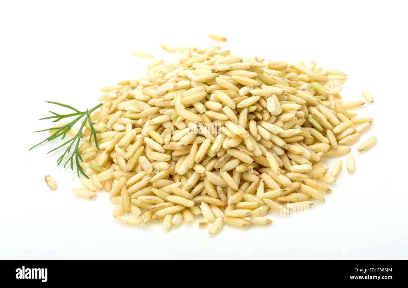 Yellow wild rice heap isolated Stock Photo - Alamy