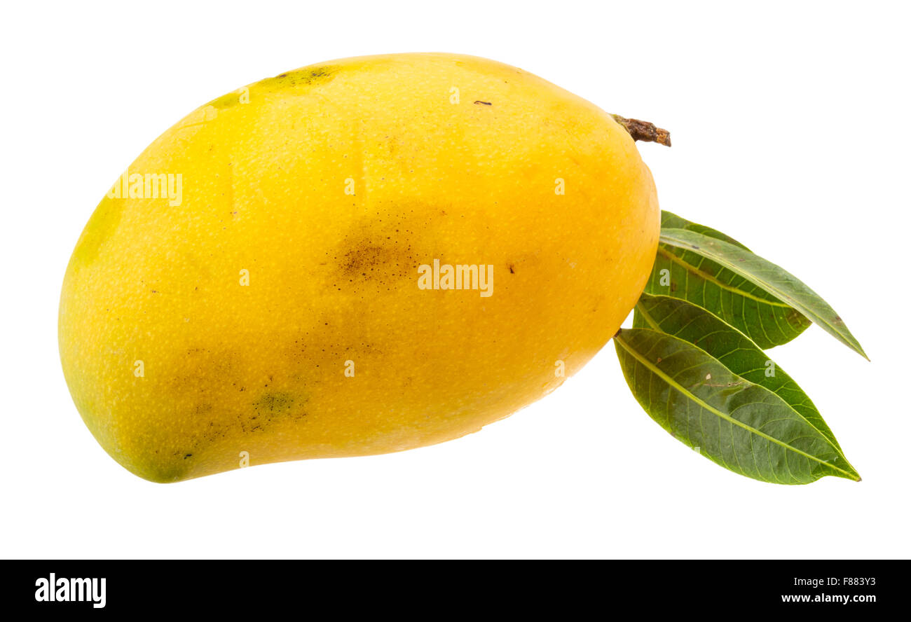 Yellow bright mango isolated on white Stock Photo - Alamy