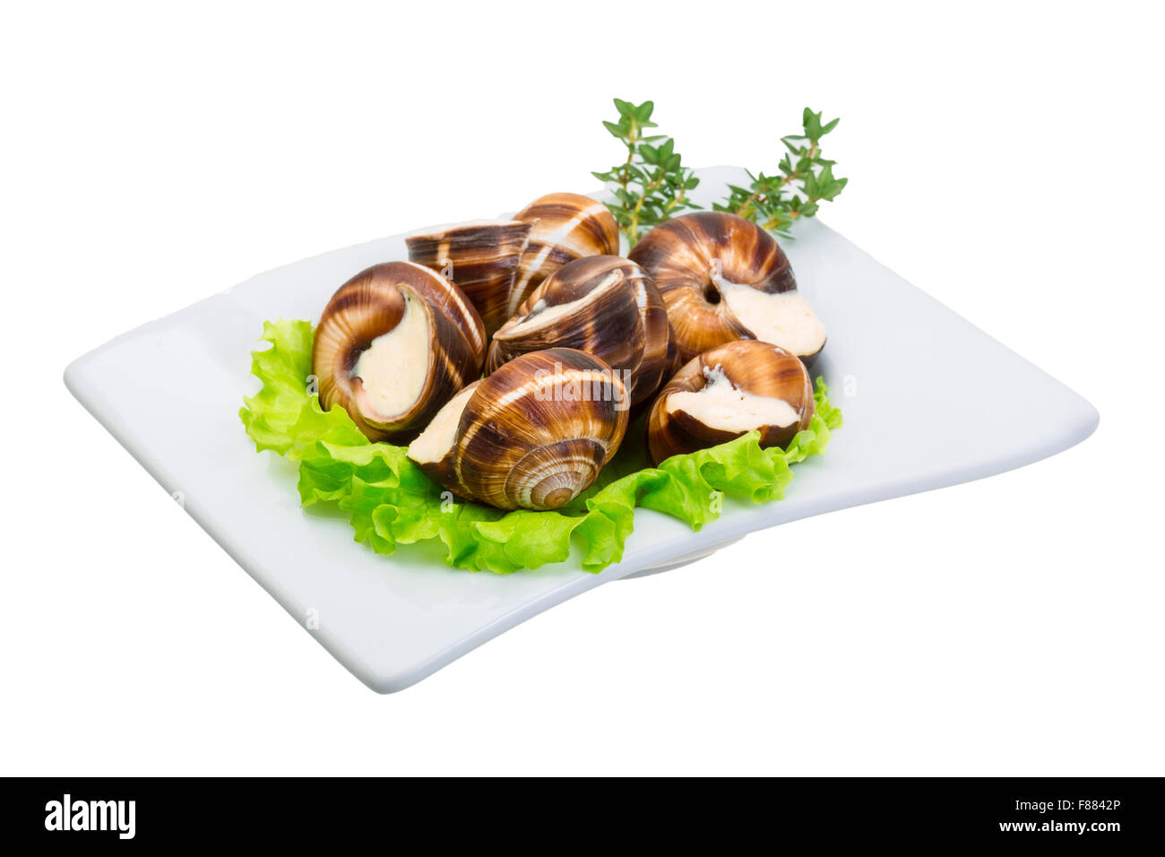 Escargot with cheese sauce Stock Photo - Alamy