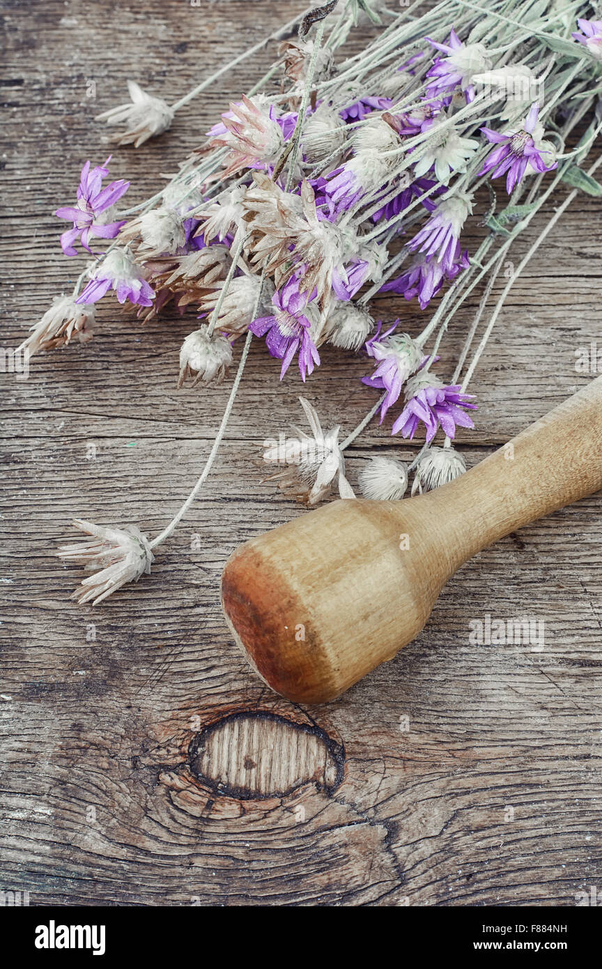 Collected inflorescences of useful plants against the background of the ...