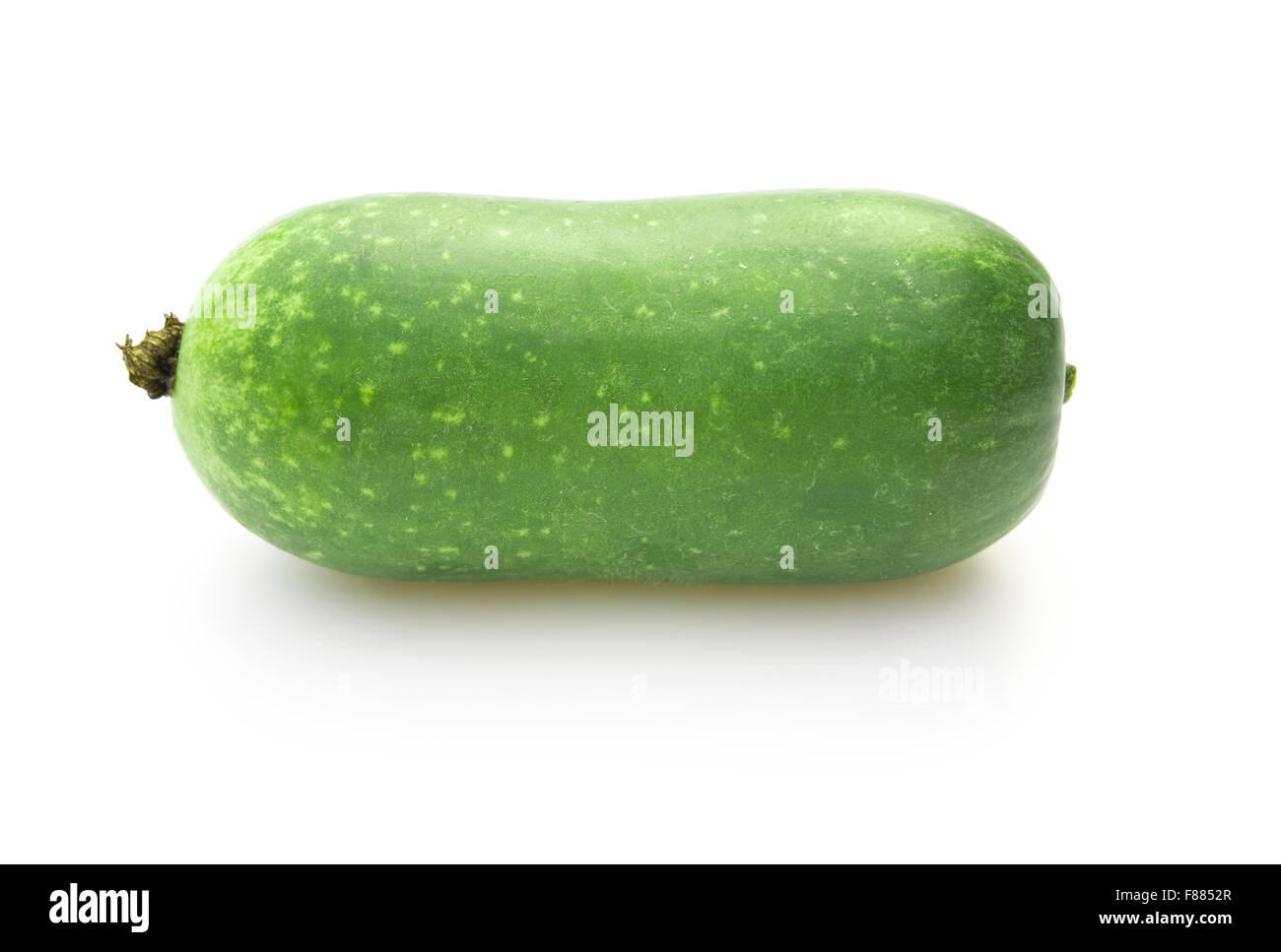 fresh smooth loofah on a white background Stock Photo - Alamy