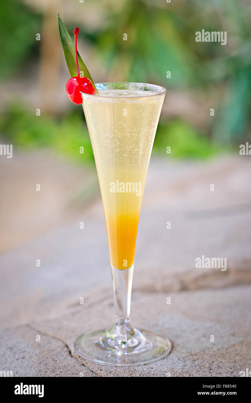 refreshing alcoholic tropical cocktail "Mimosa" in the summer Stock ...