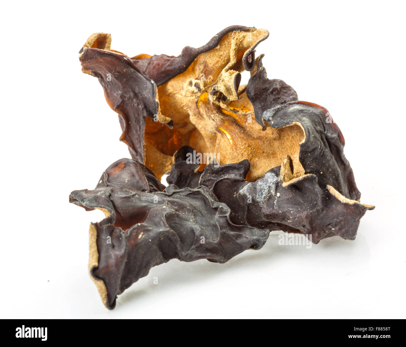 Asian dry mushrooms heap isolated Stock Photo - Alamy