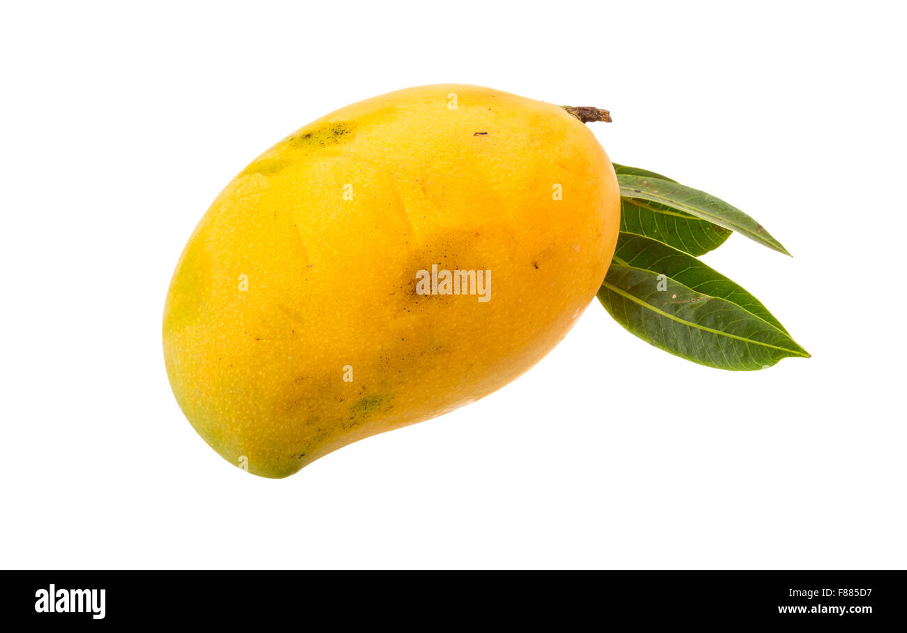 Yellow bright mango isolated on white Stock Photo - Alamy