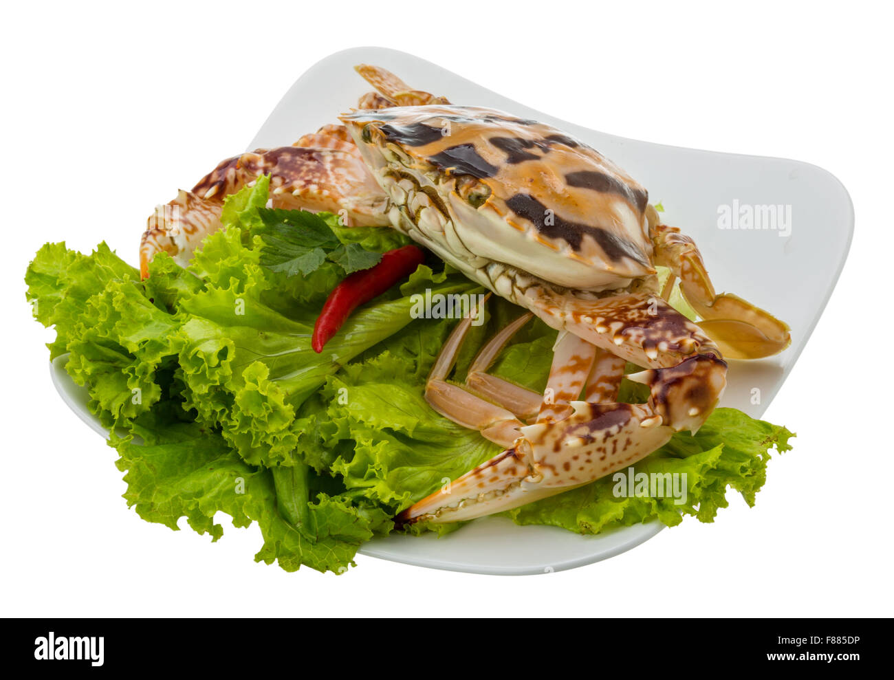 Raw red crab - ready for cooking Stock Photo - Alamy