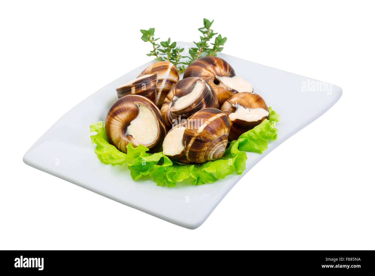 Escargot with cheese sauce Stock Photo - Alamy