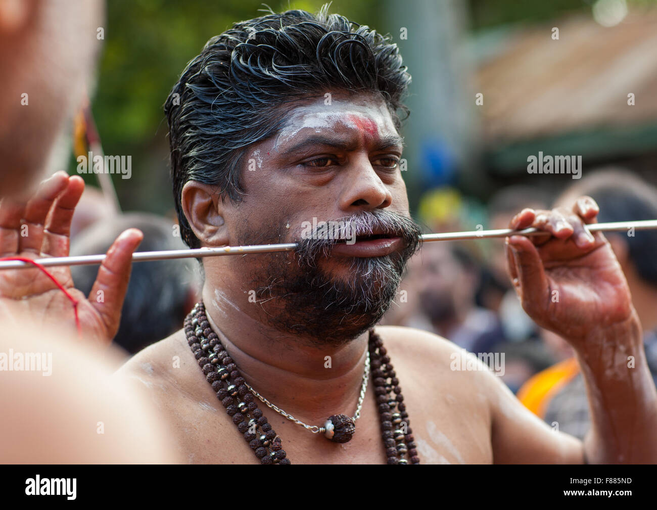 A Devotee Cheek Is Pierced With A Big Skewer By A Priest At Thaipusam ...