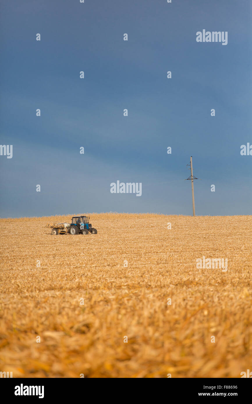 Combine harvester harvesting corn Stock Photo - Alamy