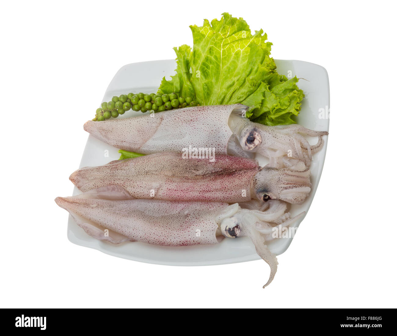 Raw calamari isolated on white background Stock Photo - Alamy