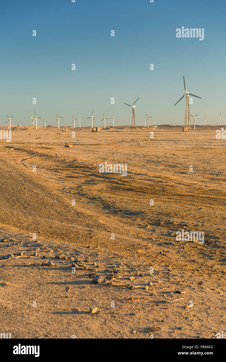 Wind farm in Egypt Stock Photo - Alamy