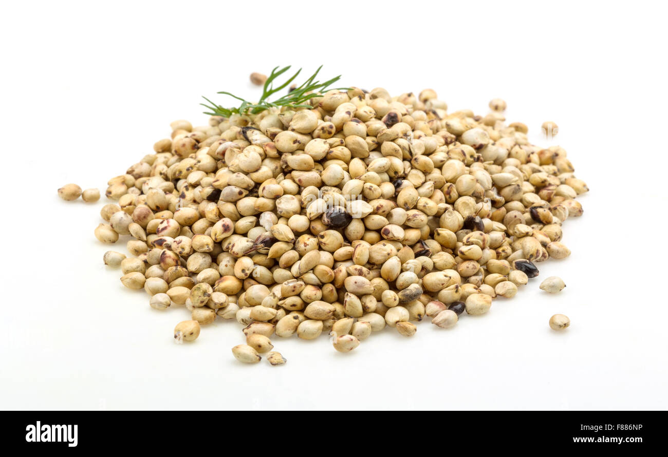 Soya bean heap isolated on white Stock Photo - Alamy