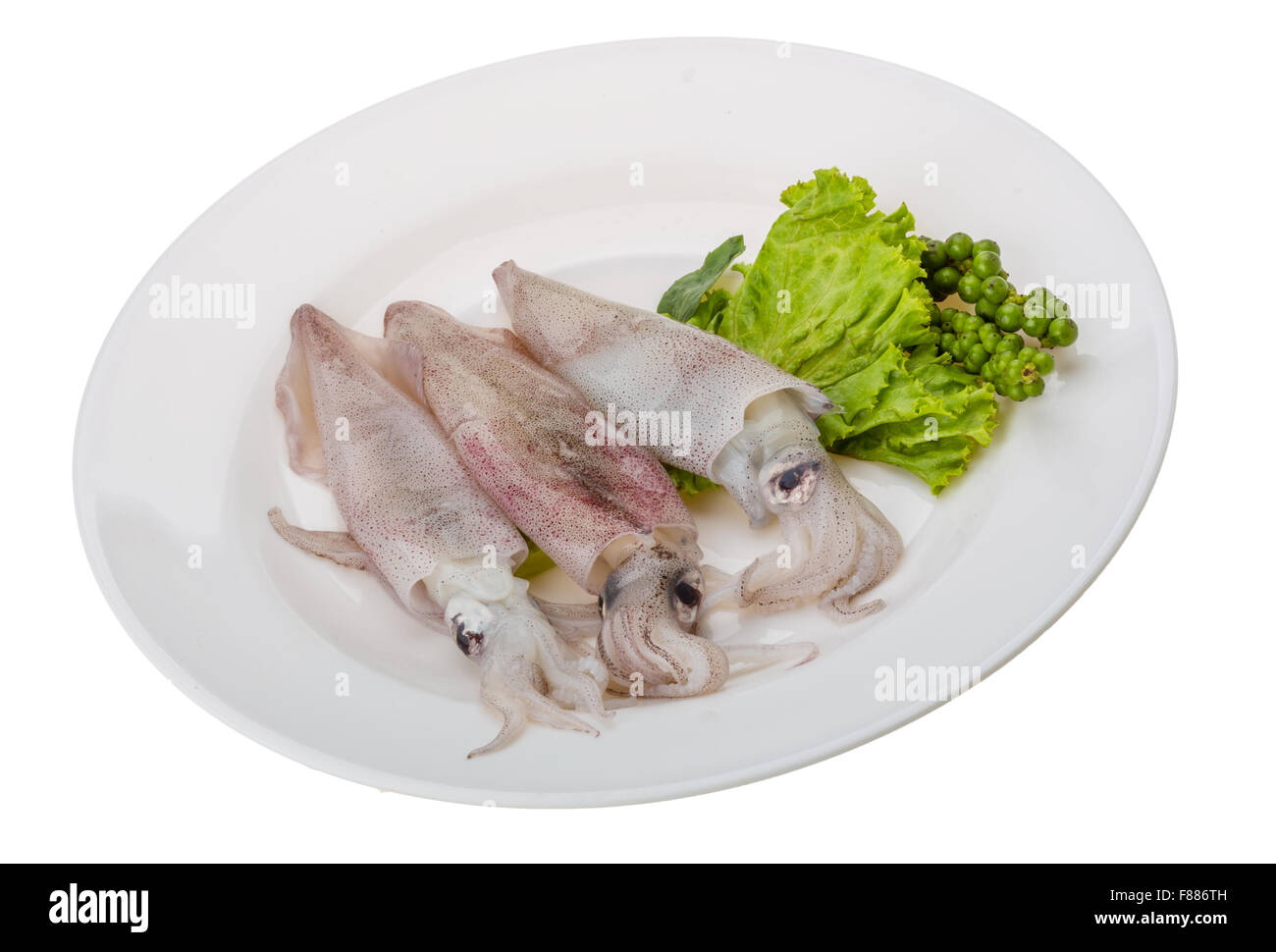 Raw calamari isolated on white background Stock Photo - Alamy
