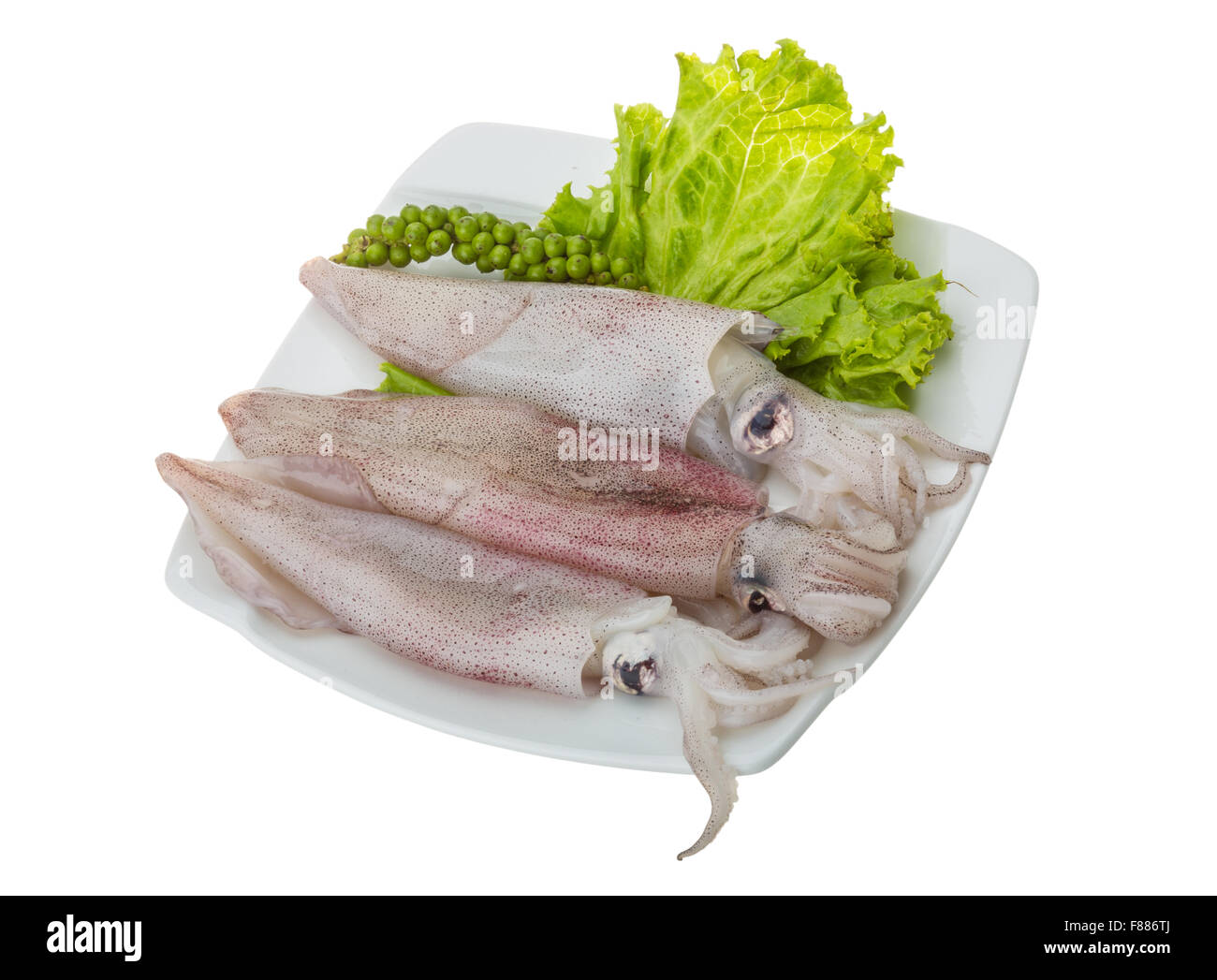 Raw calamari isolated on white background Stock Photo - Alamy