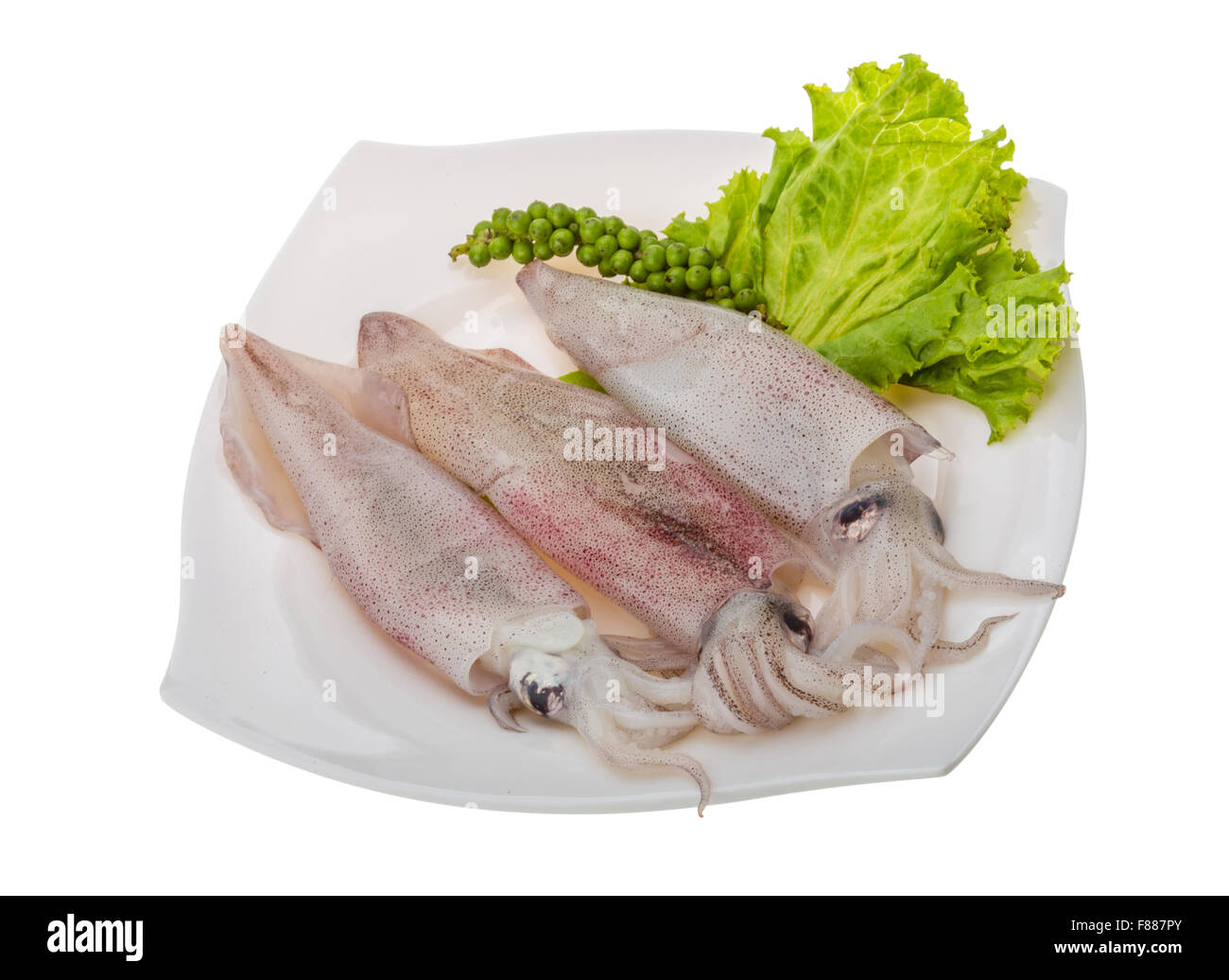Raw calamari isolated on white background Stock Photo - Alamy
