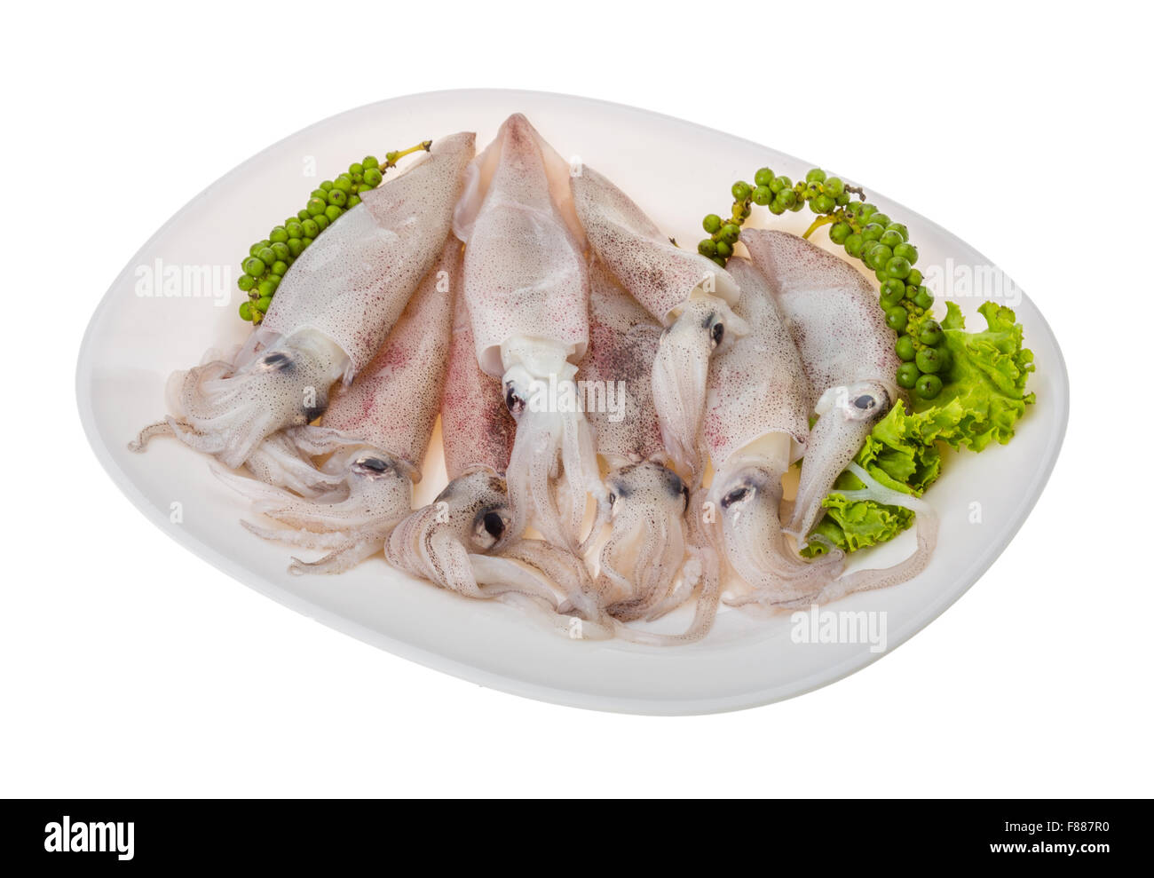 Raw calamari isolated on white background Stock Photo - Alamy