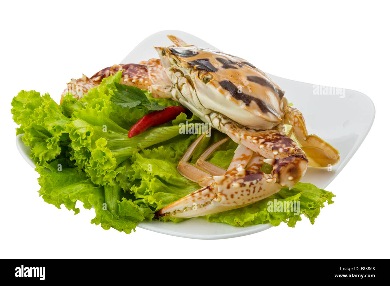 Raw red crab - ready for cooking Stock Photo - Alamy