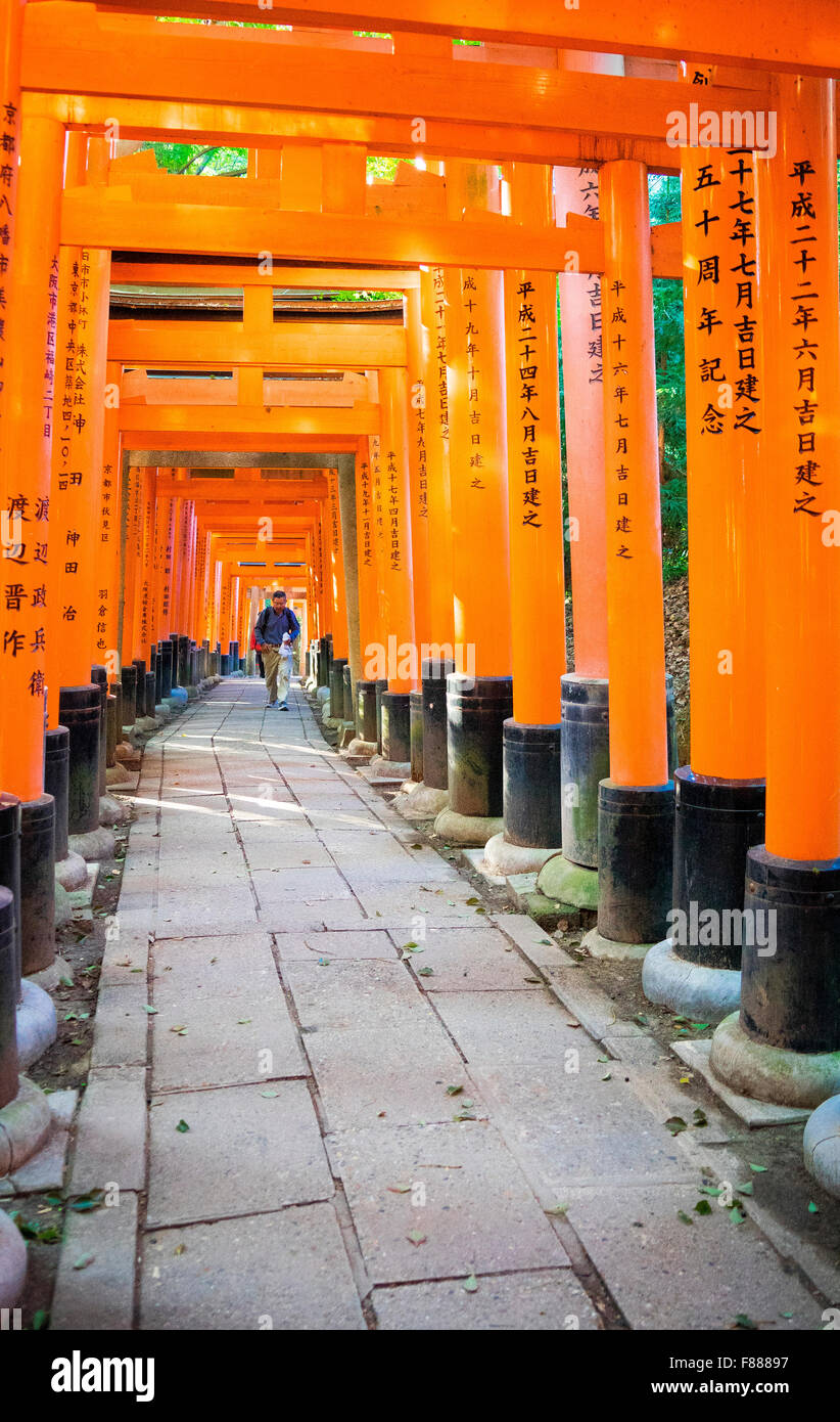 Iconic Senbon torii at Fushimi Inari Taisha, Kyoto ,Japan Stock Photo ...