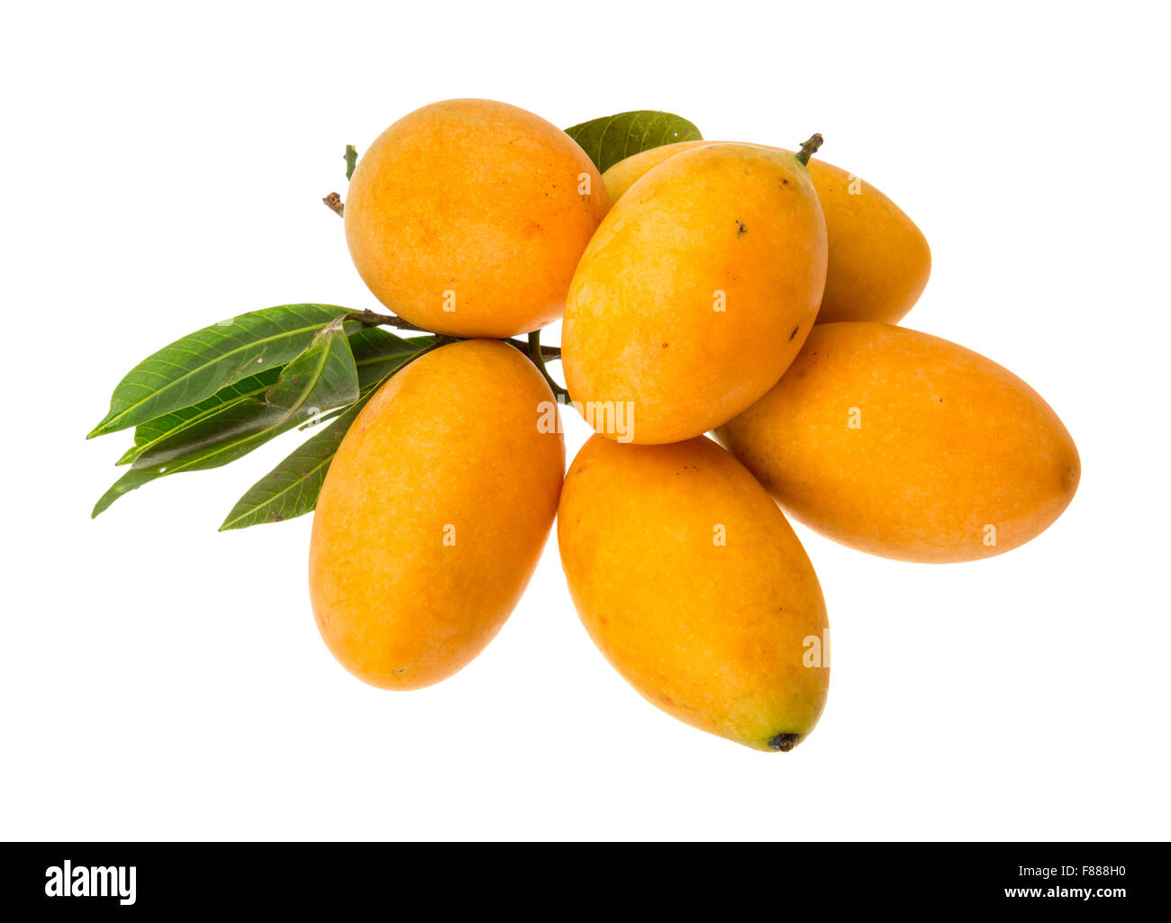 Bouea macrophylla heap isolated on white Stock Photo - Alamy