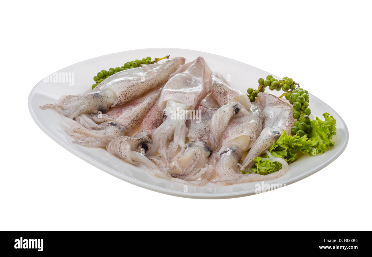 Raw calamari isolated on white background Stock Photo - Alamy