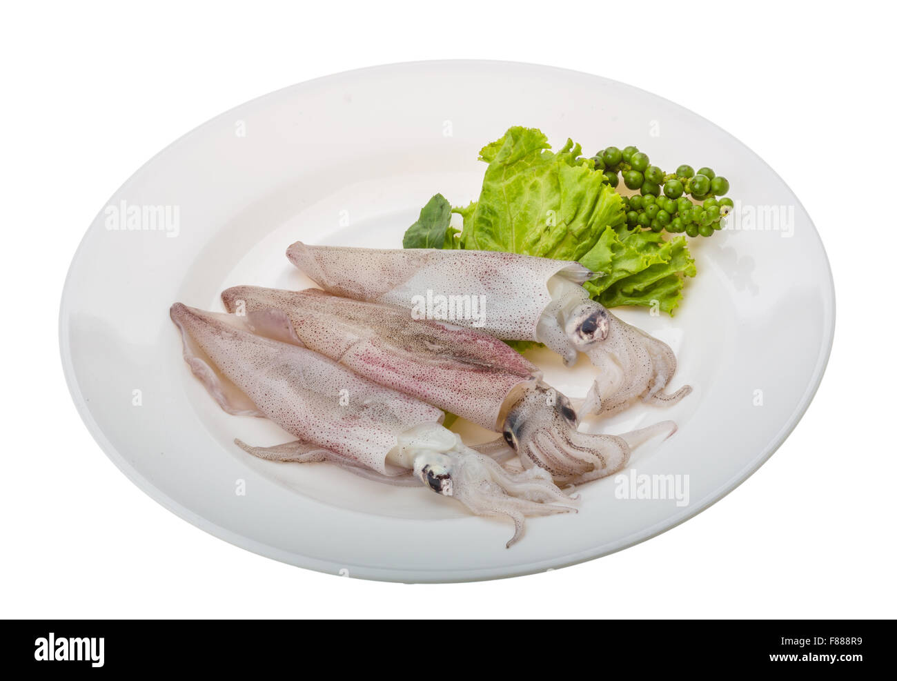 Raw calamari isolated on white background Stock Photo - Alamy