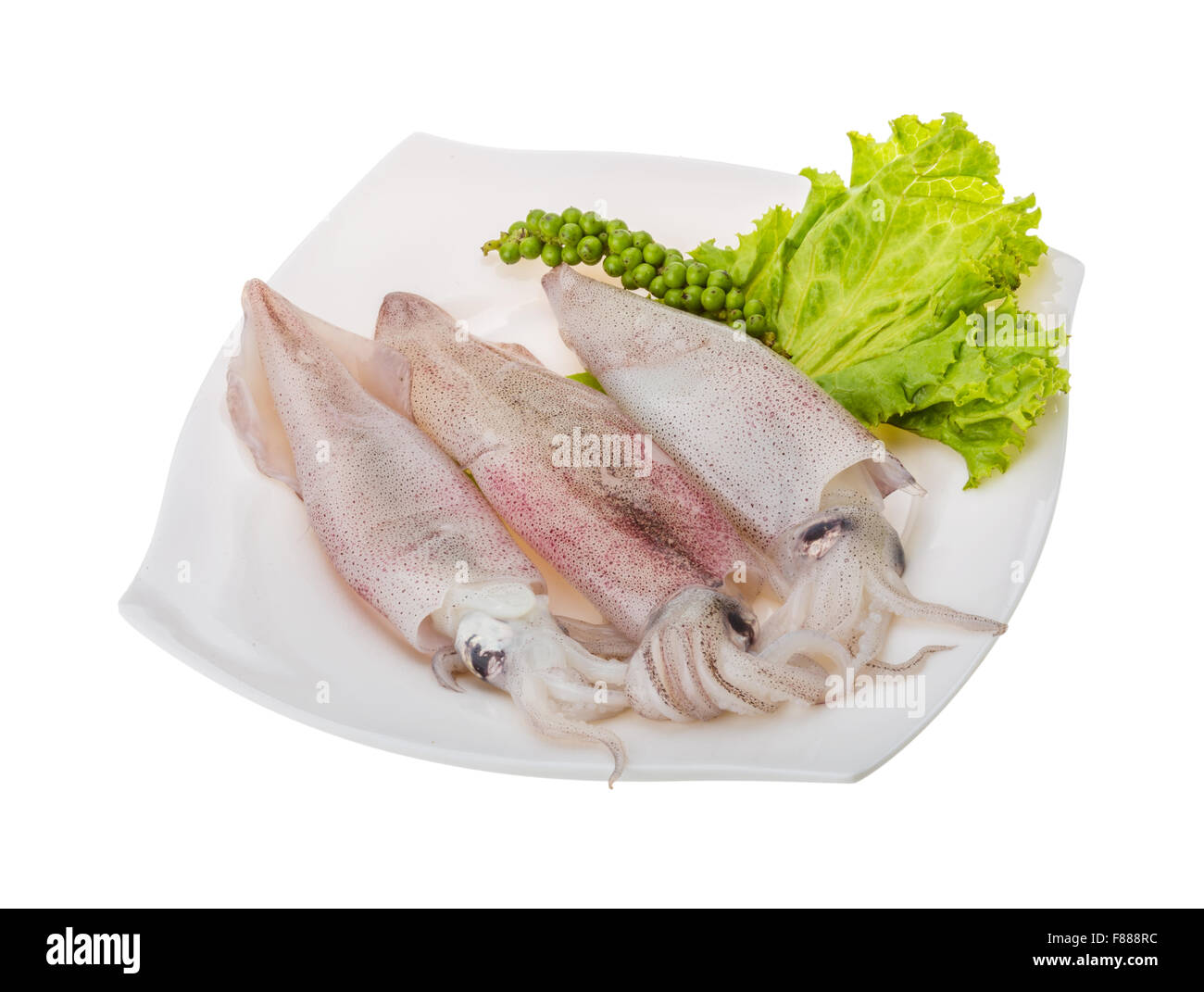 Raw calamari isolated on white background Stock Photo - Alamy