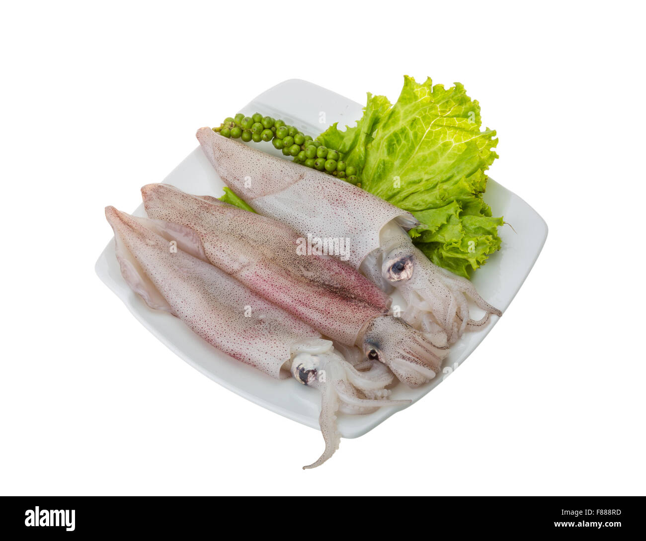 Raw calamari isolated on white background Stock Photo - Alamy