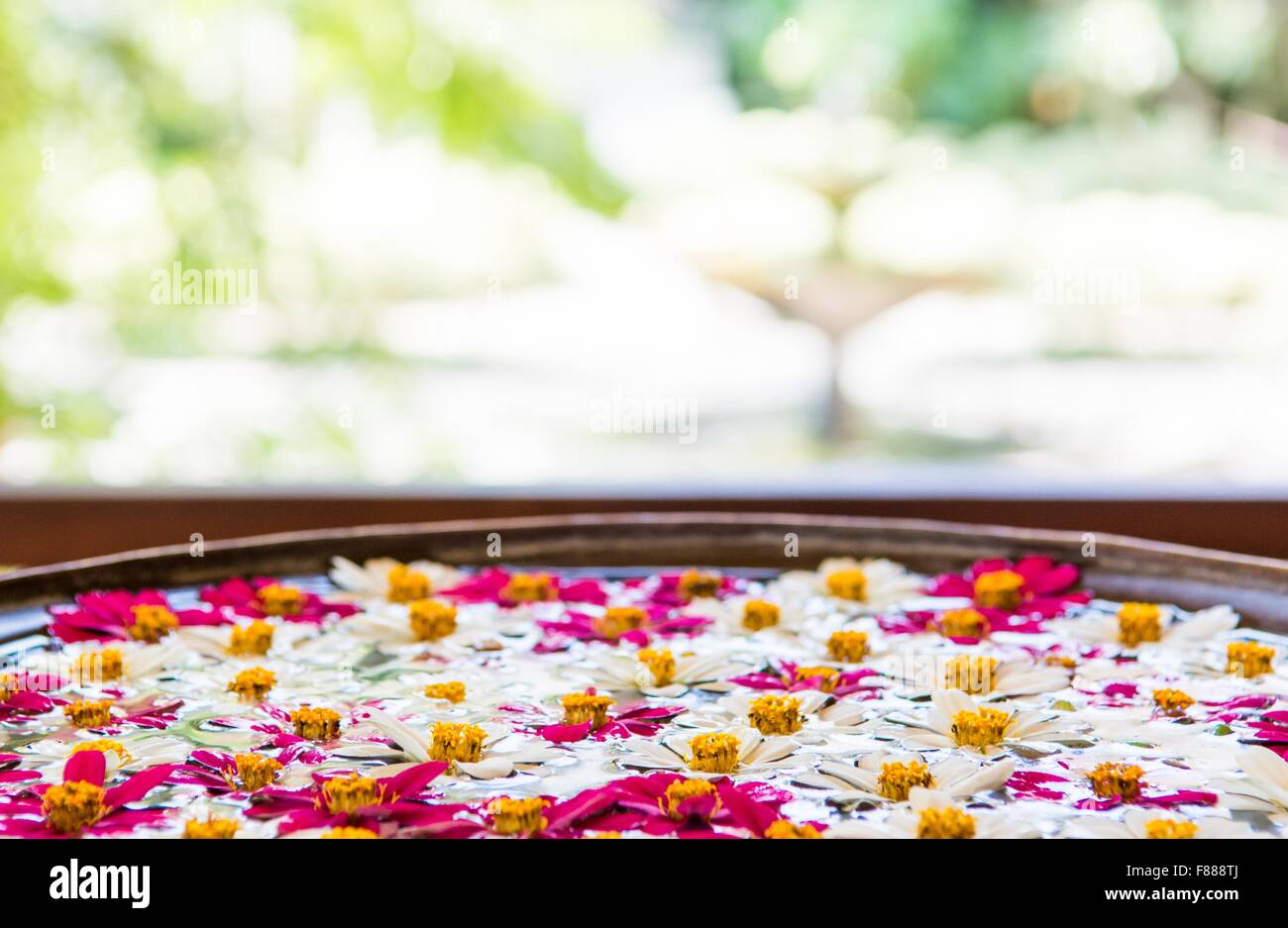 Flowers floating in water Stock Photo - Alamy
