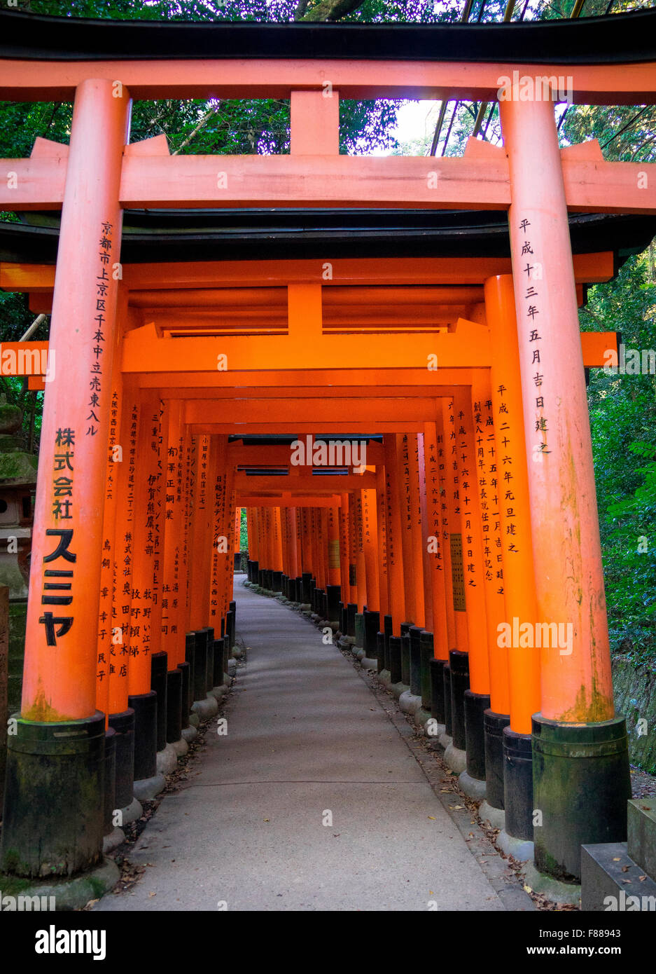 Iconic Senbon torii at Fushimi Inari Taisha, Kyoto ,Japan Stock Photo ...
