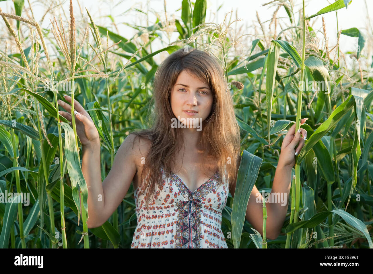 Young woman in corn plant Stock Photo - Alamy