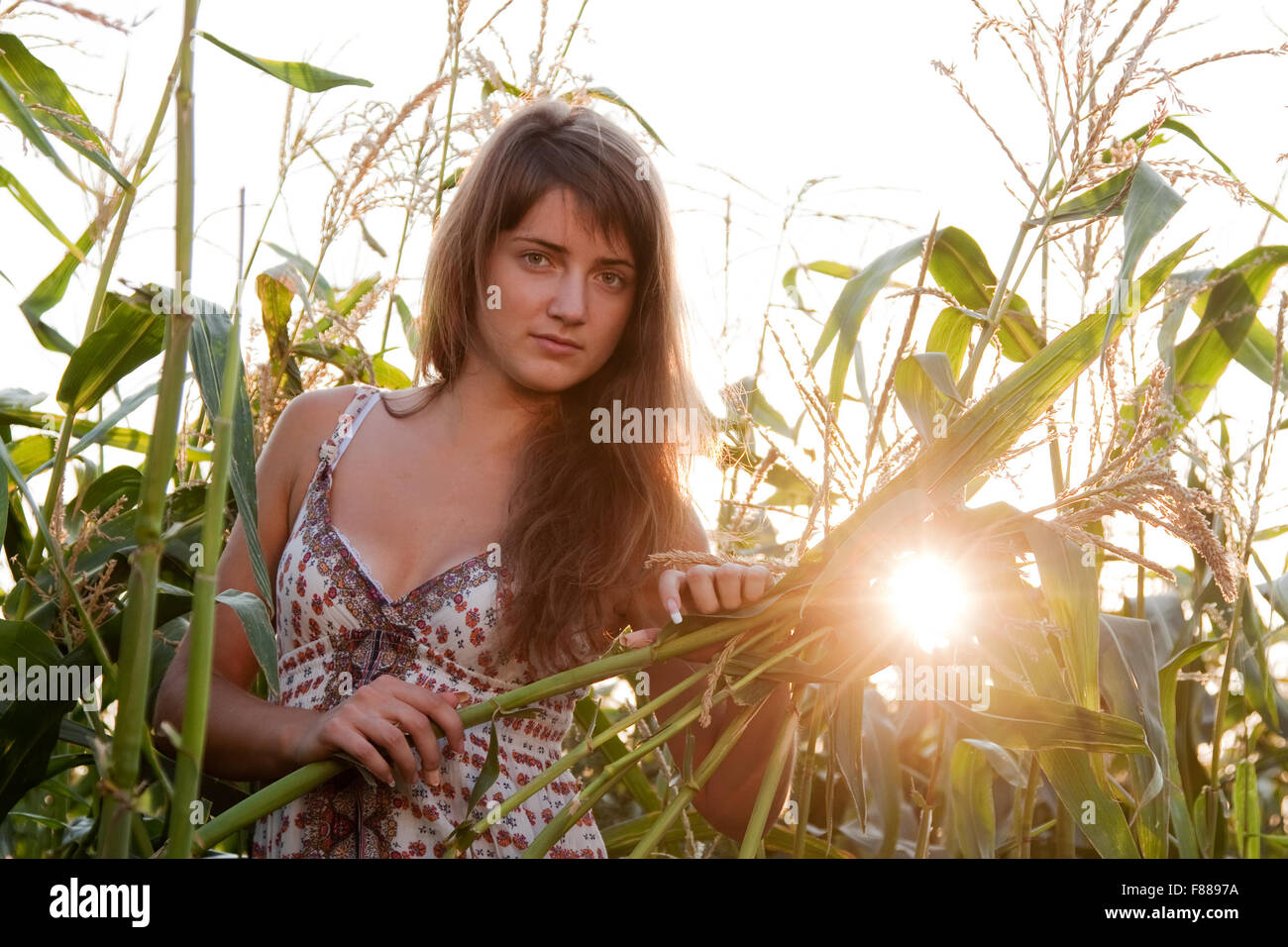 Young woman in corn plant Stock Photo - Alamy