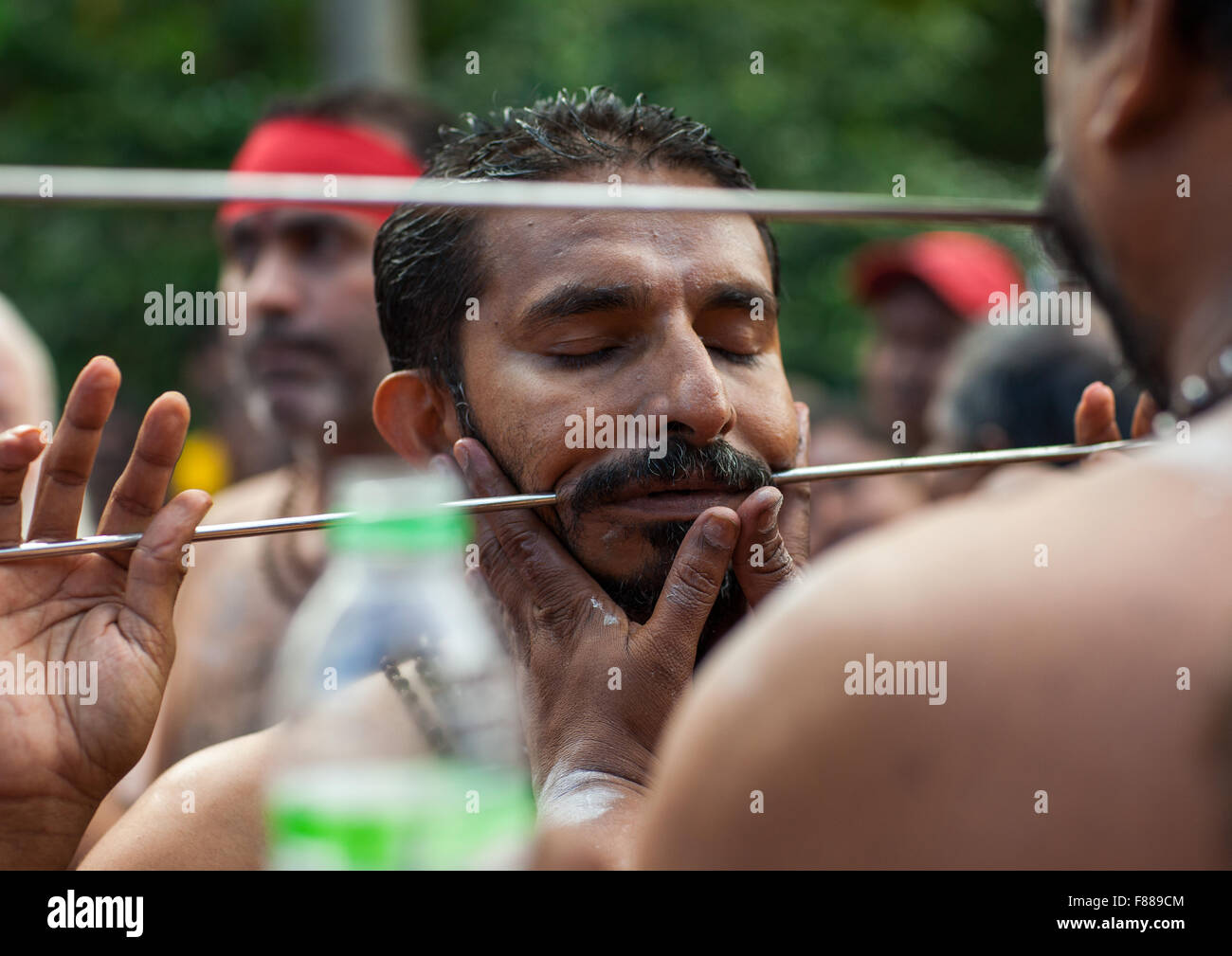 A Devotee Cheek Is Pierced With A Skewer By A Priest At Thaipusam Hindu ...