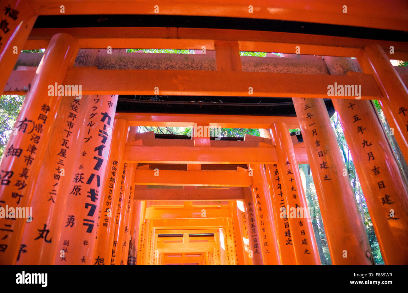 Iconic Senbon torii at Fushimi Inari Taisha, Kyoto ,Japan Stock Photo ...