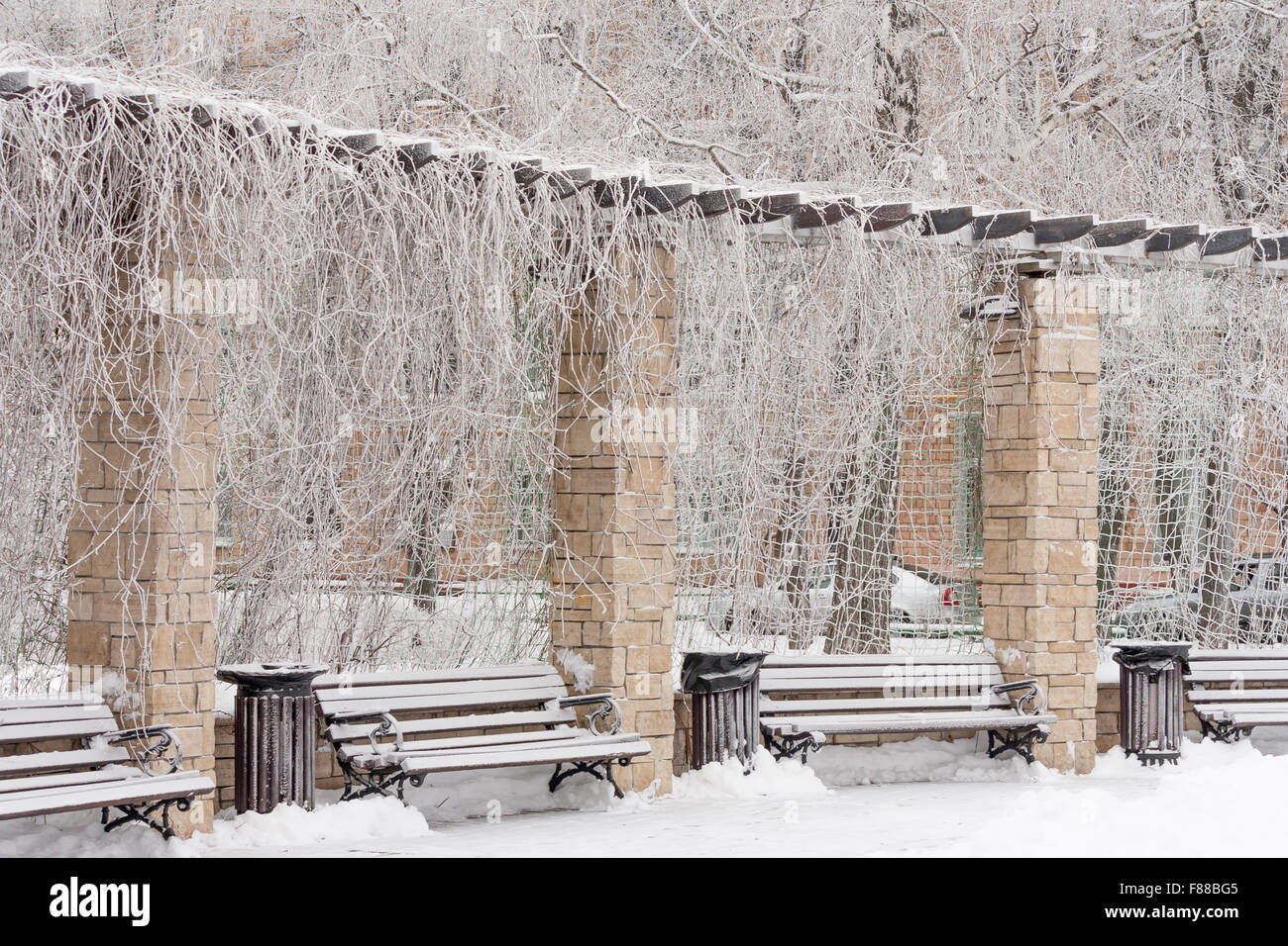 frozen park winter day cold weather benches snow Stock Photo - Alamy