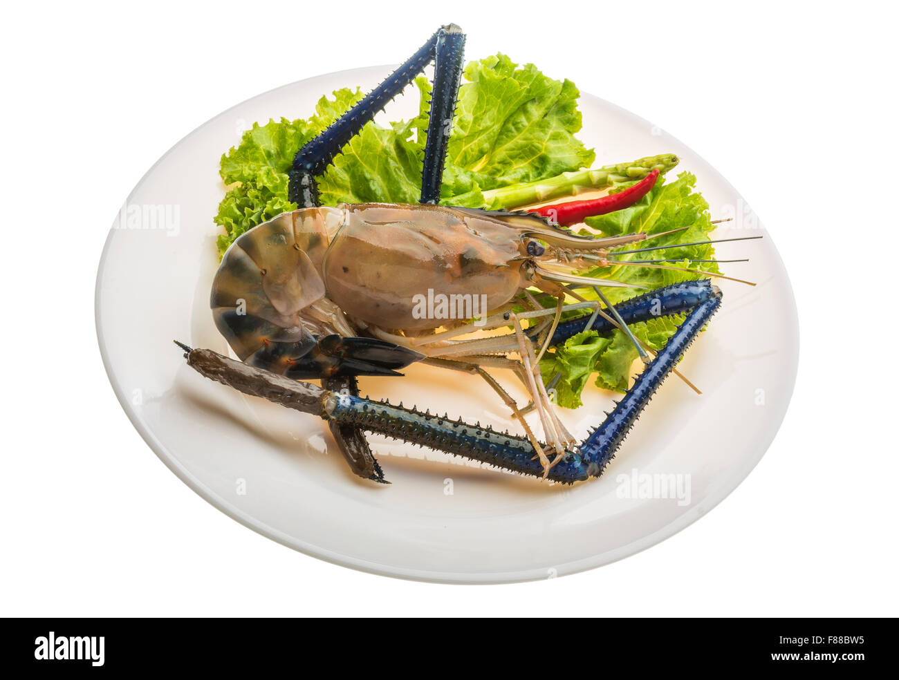 Big Freshwater prawn ready for cooking Stock Photo - Alamy
