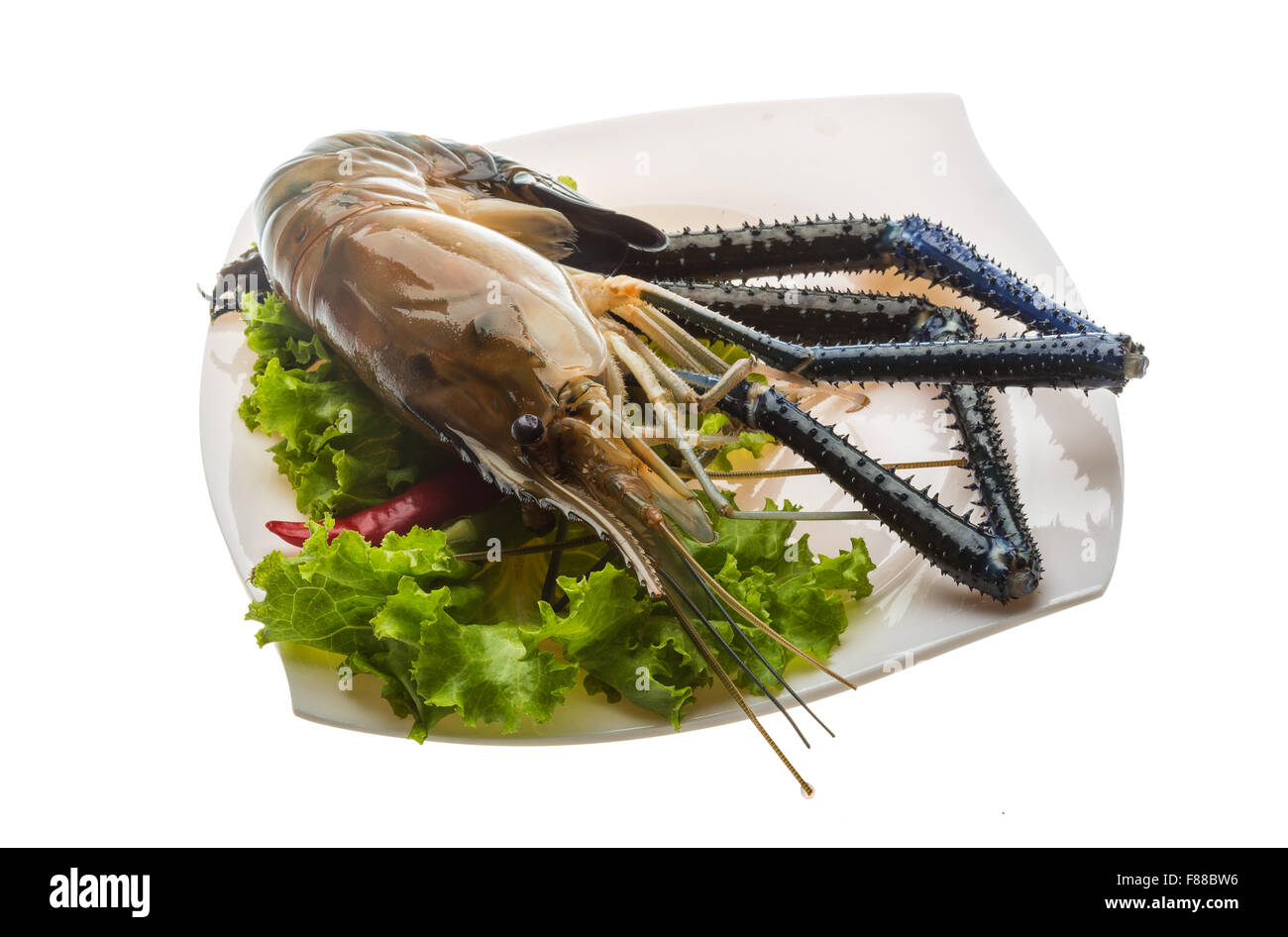 Big Freshwater prawn ready for cooking Stock Photo - Alamy