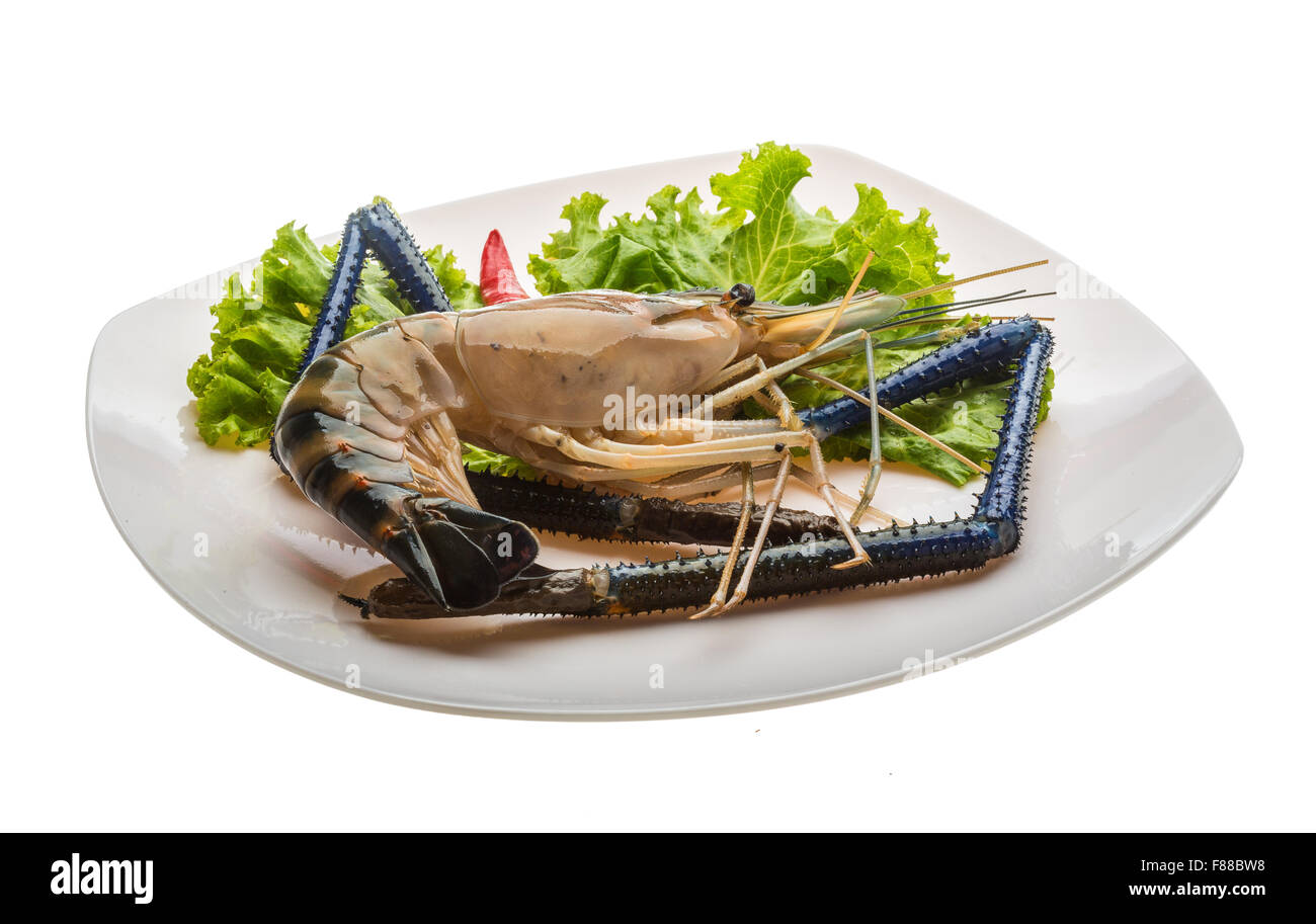 Big Freshwater prawn ready for cooking Stock Photo - Alamy