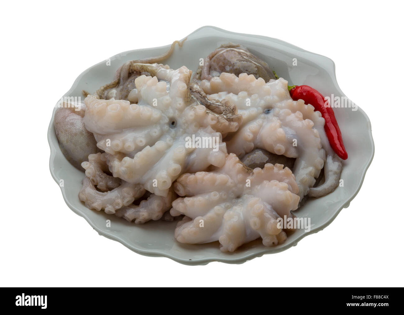Raw fresh octopus isolated on white Stock Photo - Alamy