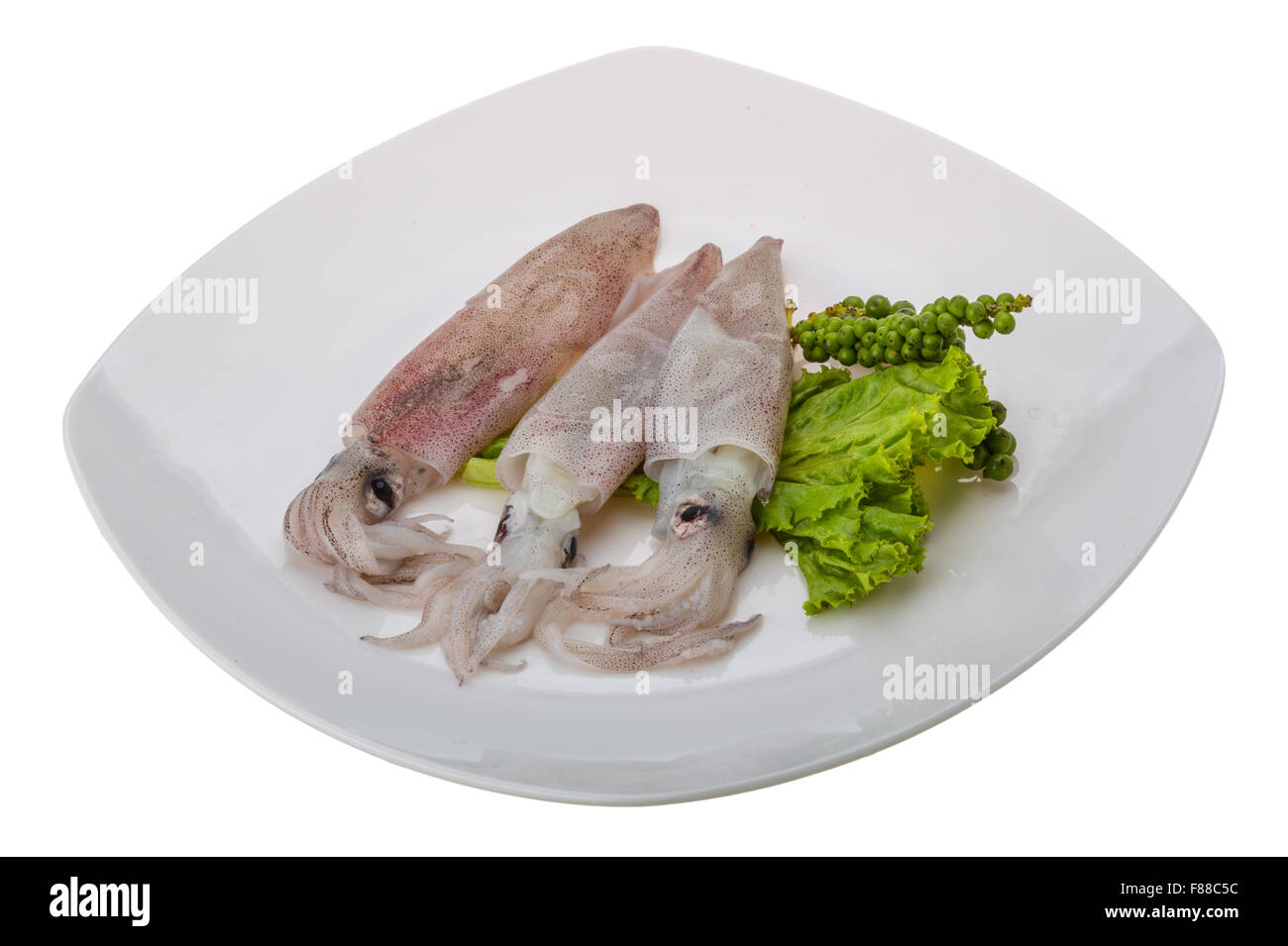 Raw calamari isolated on white background Stock Photo - Alamy