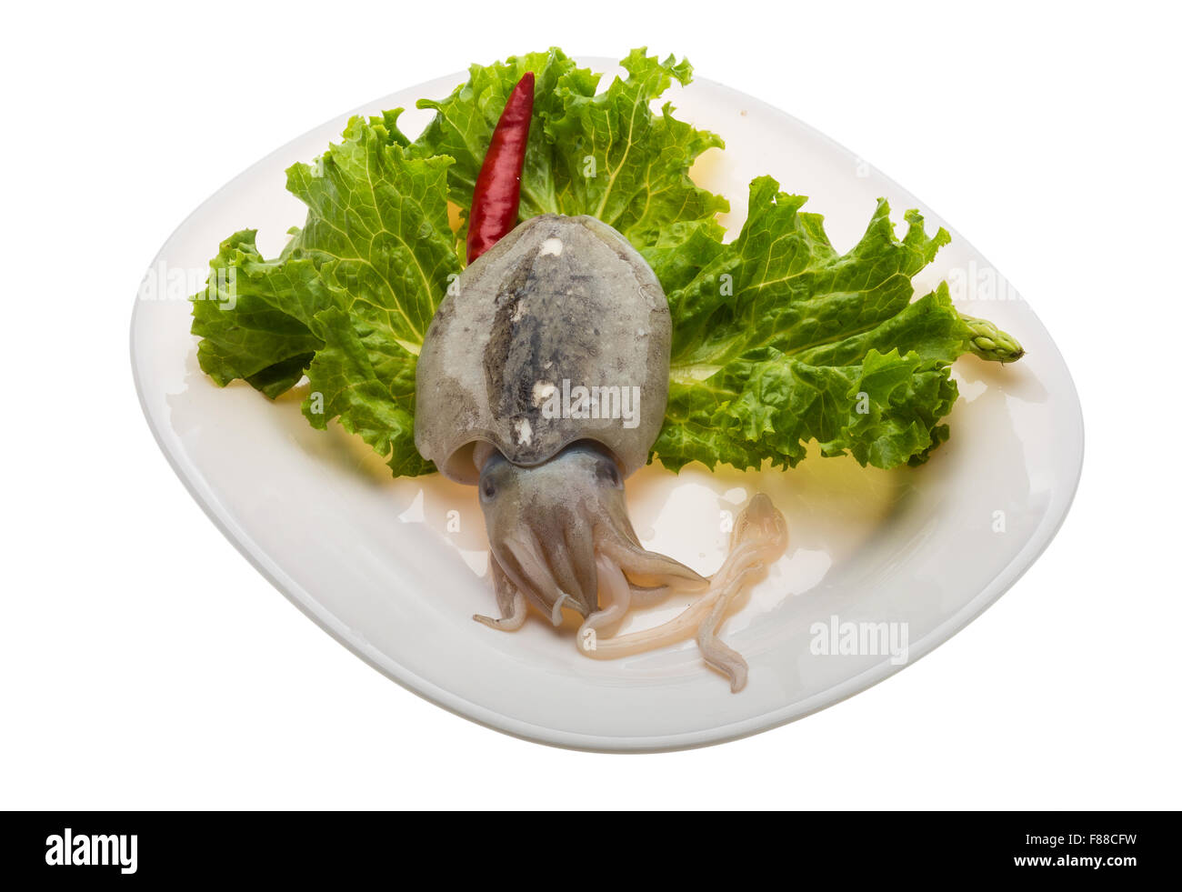 Raw cuttlefish ready for cooking Stock Photo - Alamy