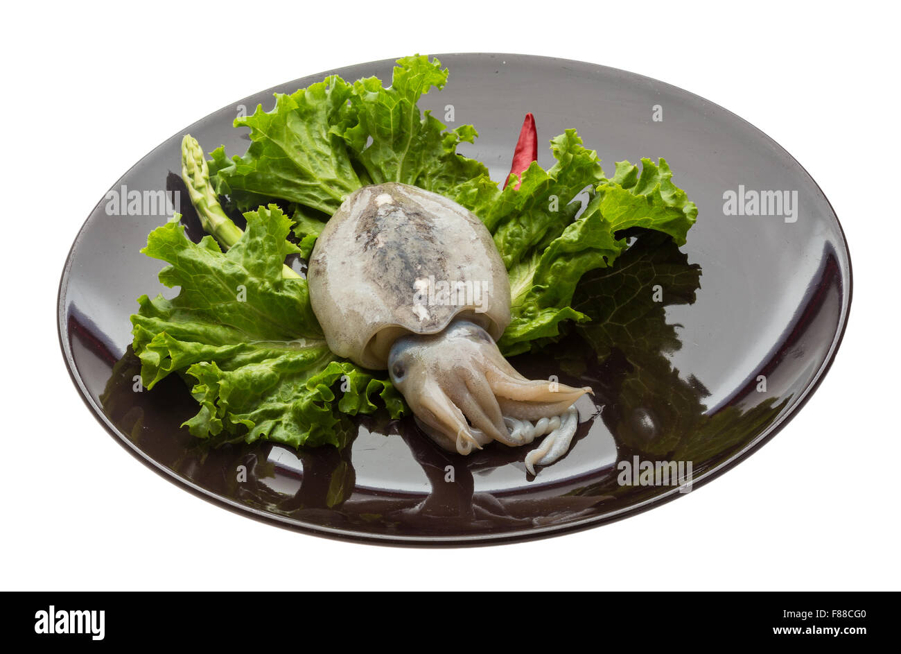 Raw cuttlefish ready for cooking Stock Photo - Alamy