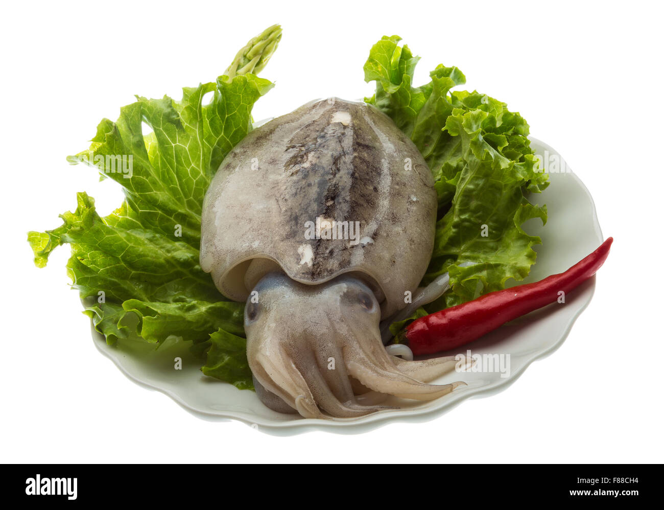 Raw cuttlefish ready for cooking Stock Photo - Alamy
