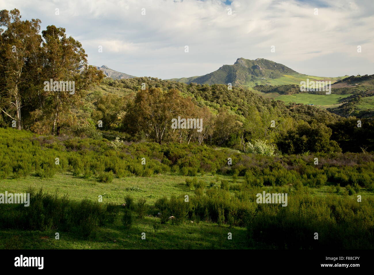 Habitats naturales hi-res stock photography and images - Alamy